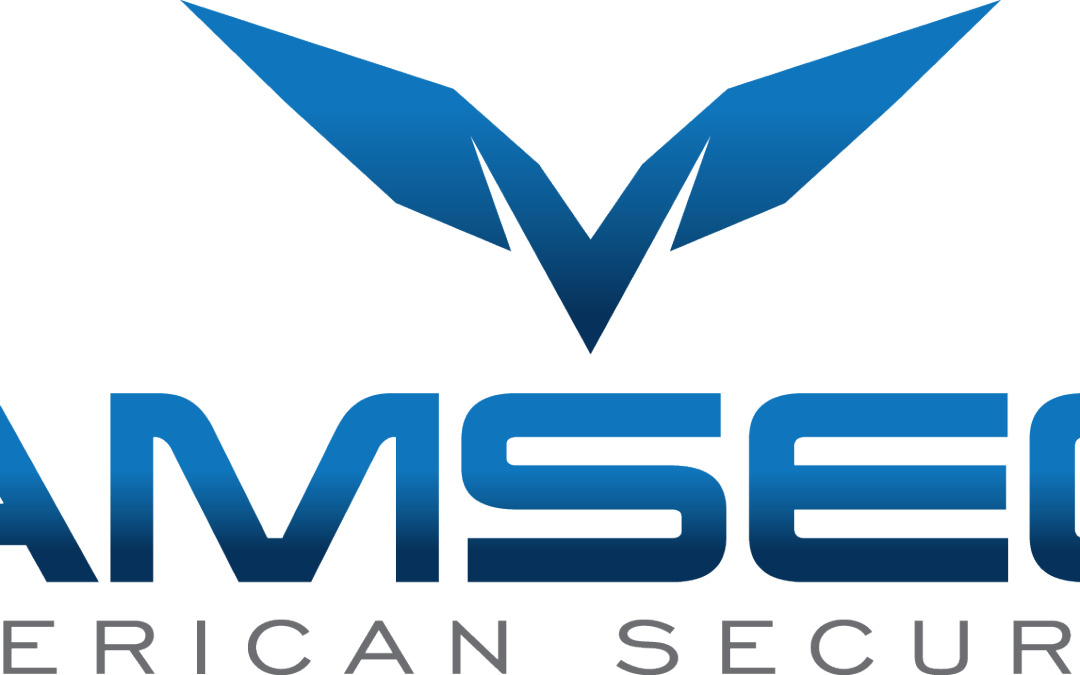 Amsec LDA Security